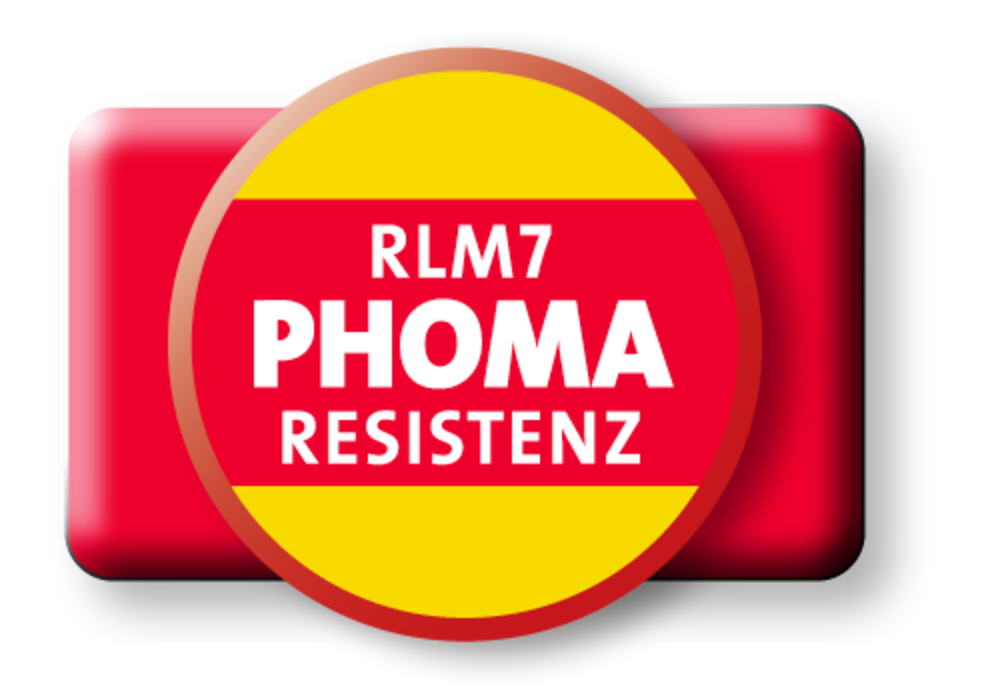 Phoma Resistenz-Züchtung
