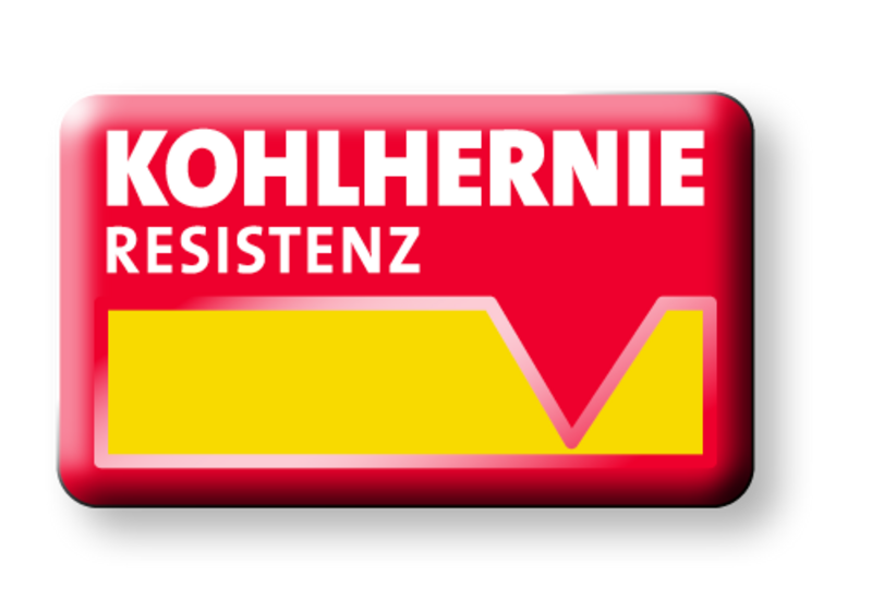 Kohlhernie-Resistenz Sicherheit im Rapsanbau