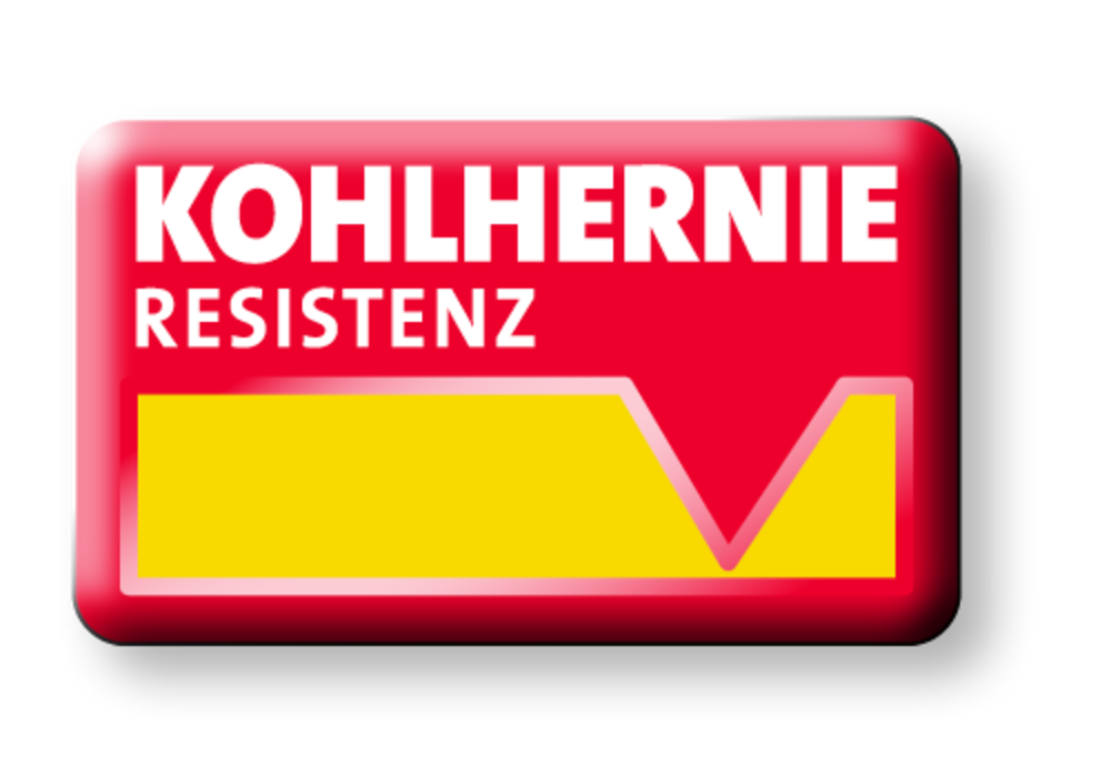 Kohlhernie-Resistenz Sicherheit im Rapsanbau