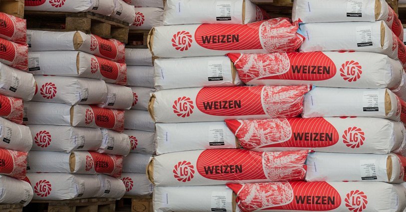 Winterweizen Saatgut kaufen - Ertragreiche Sorten für 2025