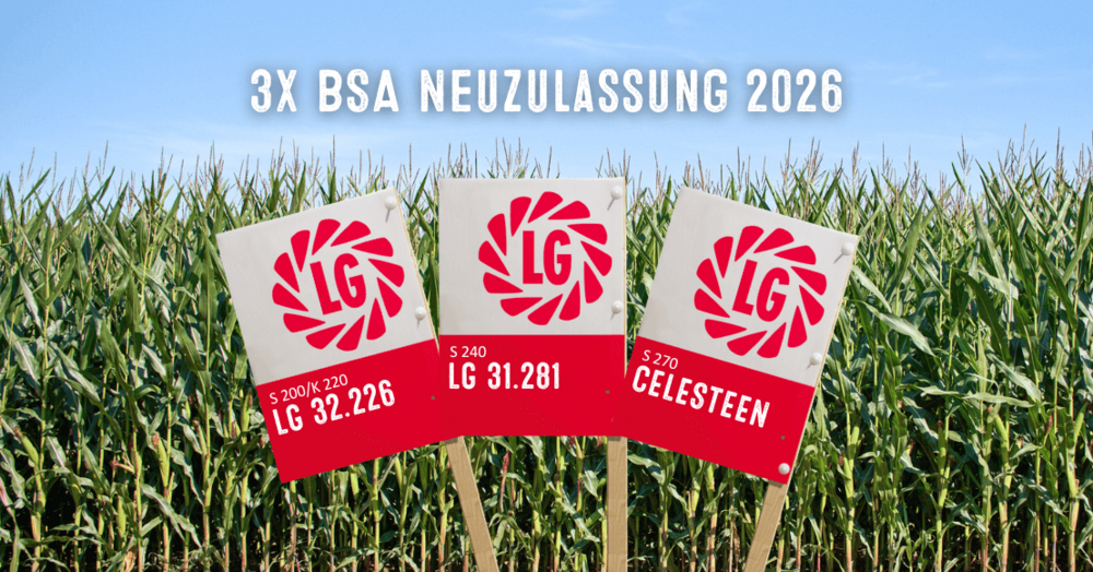 Drei Neuzulassungen von Limagrain im Mais