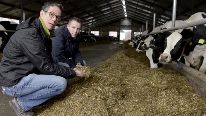 LG - Profis für Verdaulichkeit : LG Seeds Deutschland