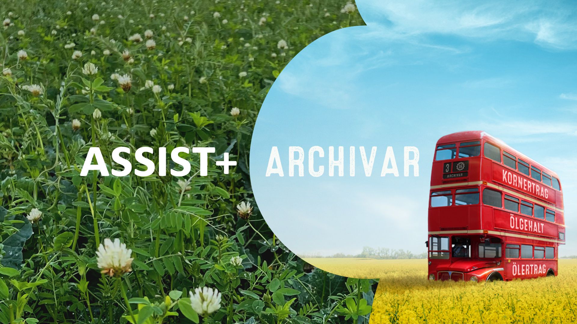 Raps ARCHIVAR und Beisaat ASSIST+